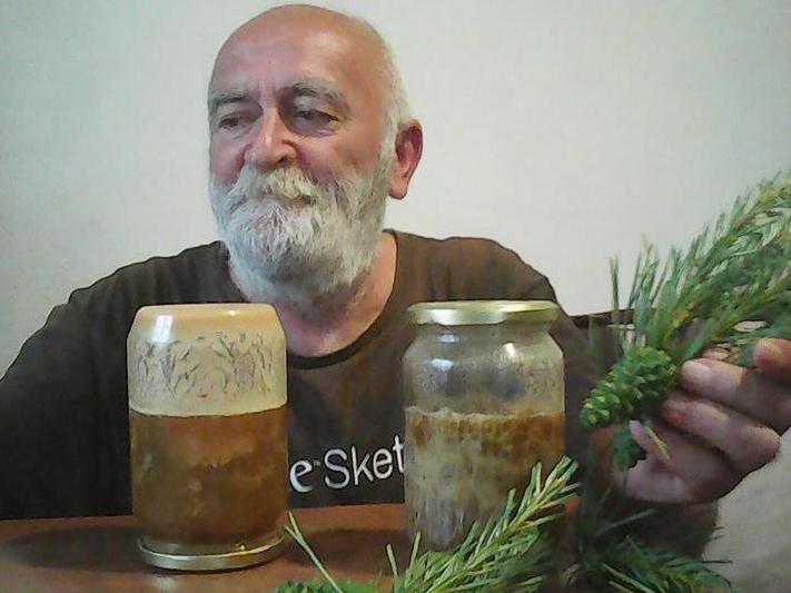 Kako se pravi med od sibirskog bora - lek za bronhitis